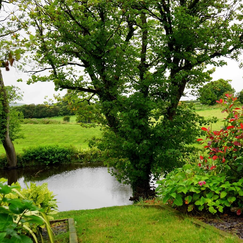Episode 2 Are You A Tree Planted By The Water Abundant Life Podcast